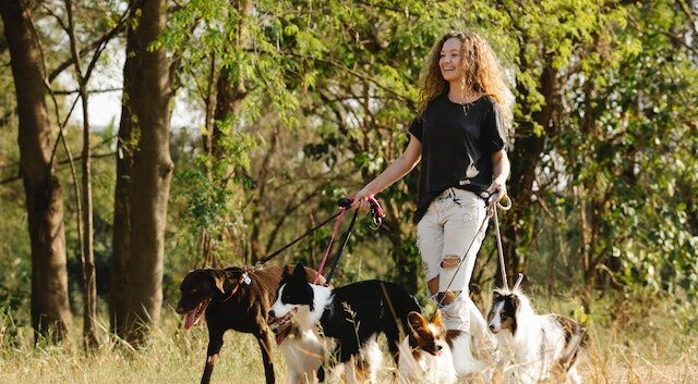 HMRC's New Rule for Freelancer Platforms and Side Hustles: What You ...